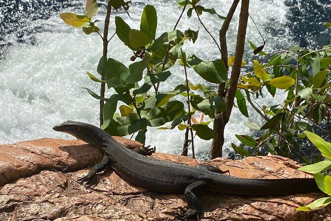 Litchfield & Berry Springs VIP Adventure Day Tours (group of 11) - FAQs