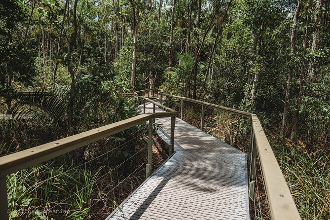 Litchfield Day Tour from Darwin with Offroad Dreaming - Who Is This Tour Best For?