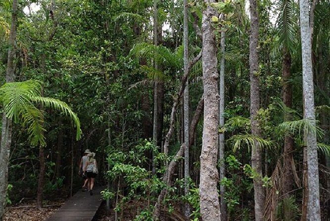 Litchfield National Park and Jumping Crocodile Cruise - Key Points