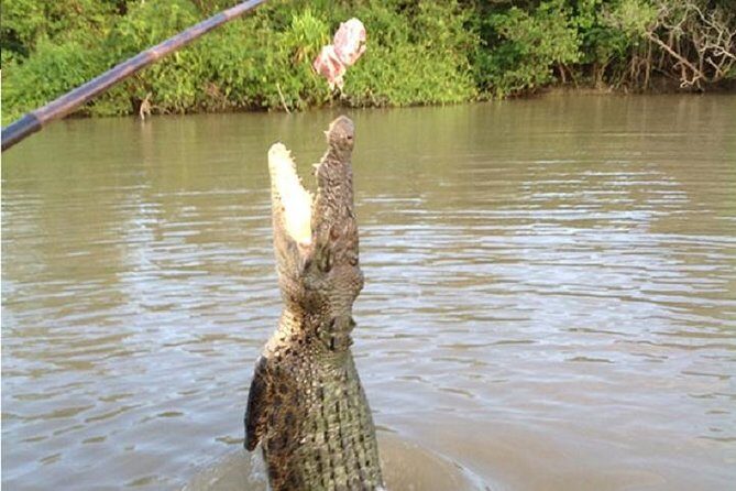 Litchfield National Park and Jumping Crocodile Cruise - The Drive Through Batchelor and Local Charm
