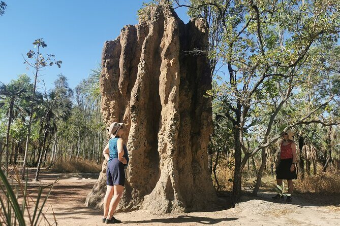 Litchfield National Park Day Tour & Berry Springs, Max 11 Guests - Wangi Falls: The Park’s Crowning Attraction
