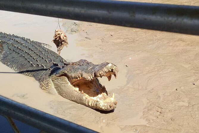 Litchfield National Park Tour with Wetlands or Crocodile Cruise - Final Thoughts