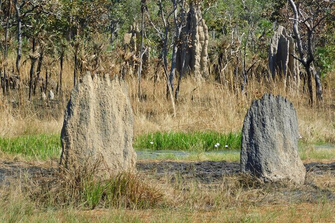 Litchfield Park & Jumping Crocodile Cruise - A Full Day of Adventure in the Northern Territory