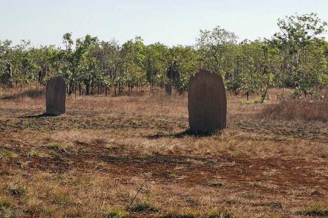 Litchfield Premium Day Tour, 10 guests only, lunch included - Key Points