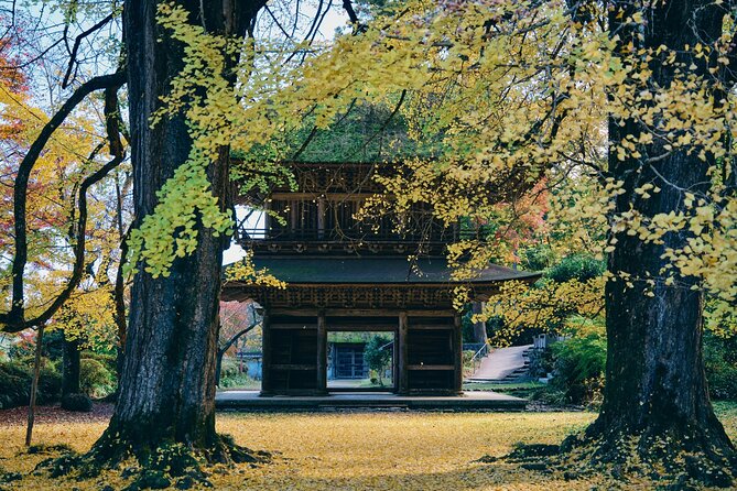 Little Adventure With Cycling in Tokyo No. 1 Crystal Clear River - Exploring the Countryside