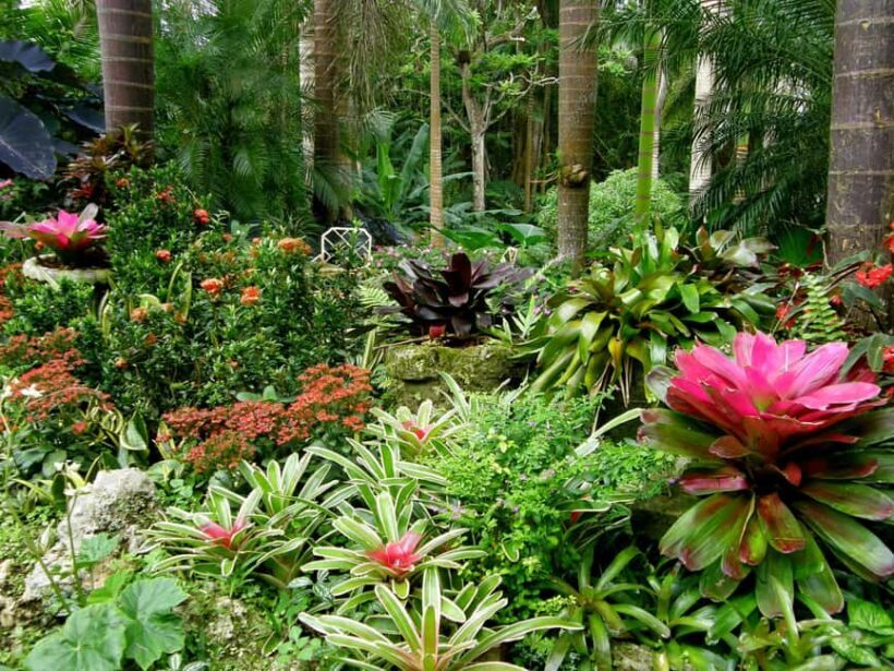 Little England: Half Day Tour in Barbados - Little England: Half Day Tour in Barbados – A Genuine Look at the Island’s British Heritage