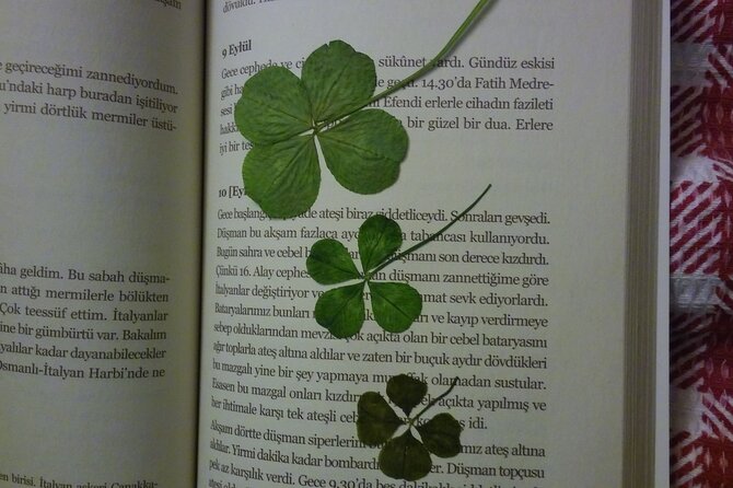 Little Hagia Sophia / Aromatherapy Workshop / Breakfast (include) - Aromatherapy Workshop Highlights