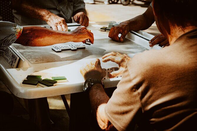 Little Havana Cigar Rolling Coffee Making Tour and 90 Min Cruise - The Experience: What Travelers Are Saying
