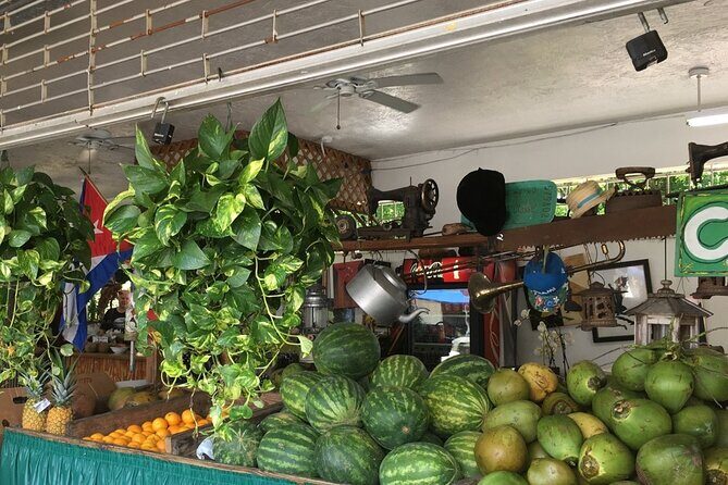 Little Havana French Gourmet Guided Tour - Key Points