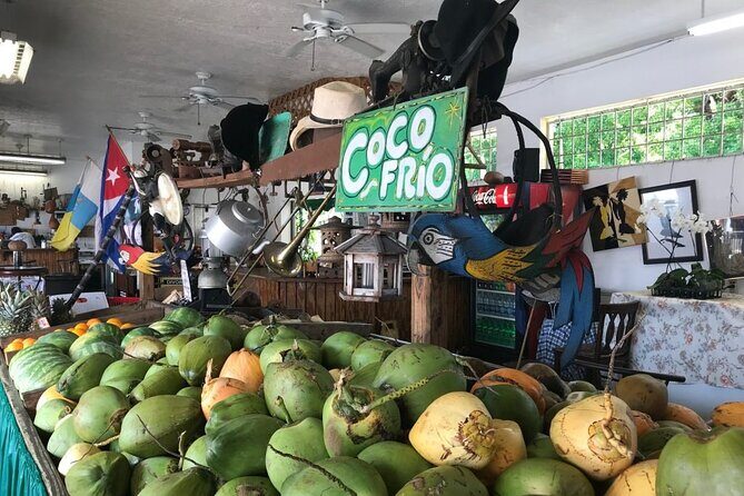 Little Havana French Gourmet Guided Tour - The Sum Up
