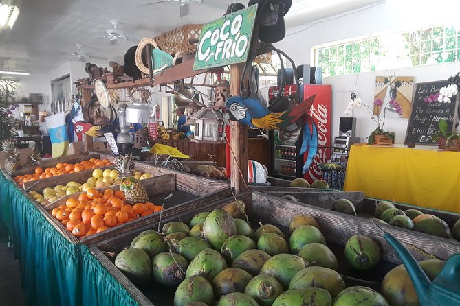 Little Havana Nights Podcast Dinner, Dance, Music, Cuban Host - Guest Testimonials and Experiences