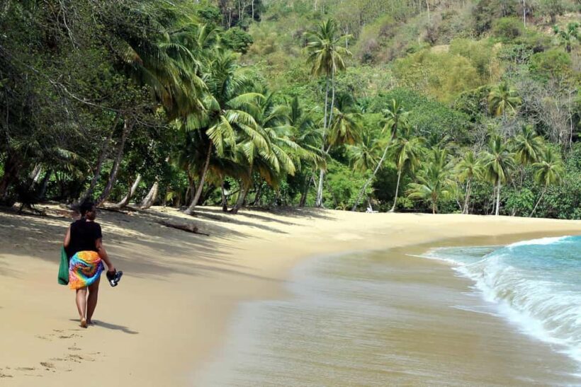 Little Tobago: Glass Bottom Boat Tour - Lunch and Optional Extras