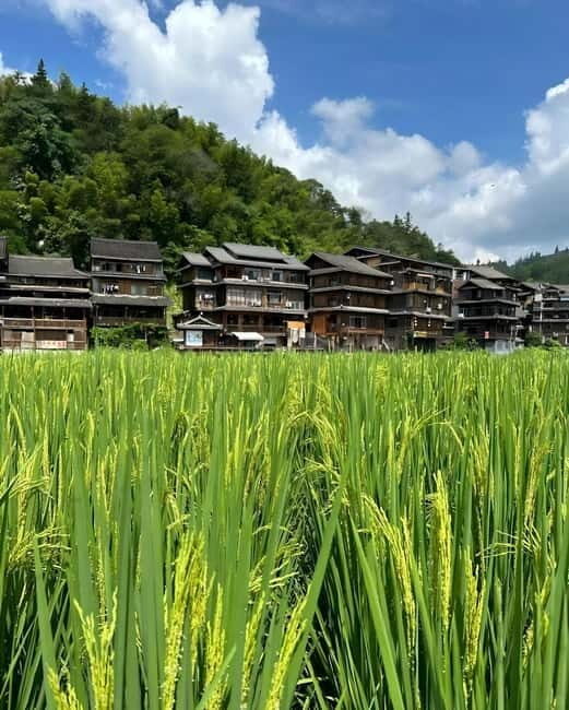 Liuzhou: 2-Day Dong Heritage Tour - How Worth the Price? Analyzing Value