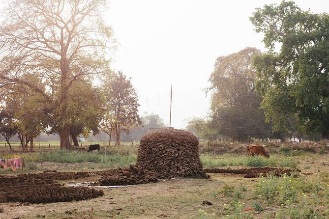 Live a round experience in Varanasi. 3 Days Tour - Why This Tour Offers Great Value