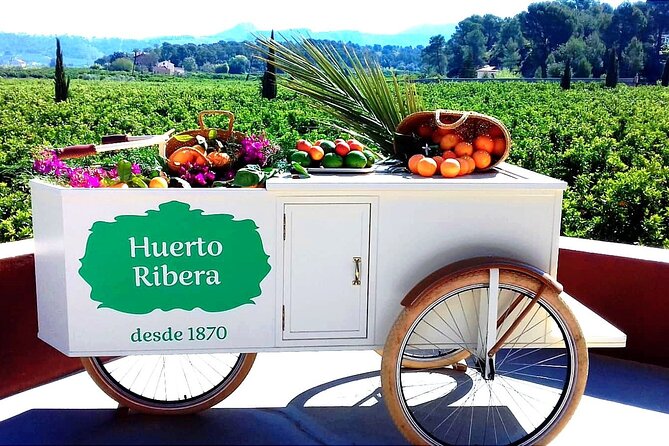 Live an Experience Among Orange Trees in Huerto Ribera - Inclusions and Pricing
