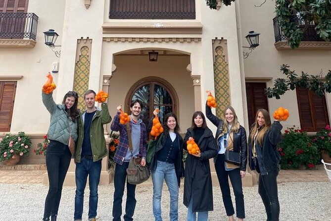 Live an Experience Among Orange Trees in Huerto Ribera - What to Expect During the Experience