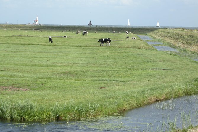 Live-Guided Zaanse Schans and Cheese Tasting Tour From Amsterdam - Tour Logistics and Accessibility