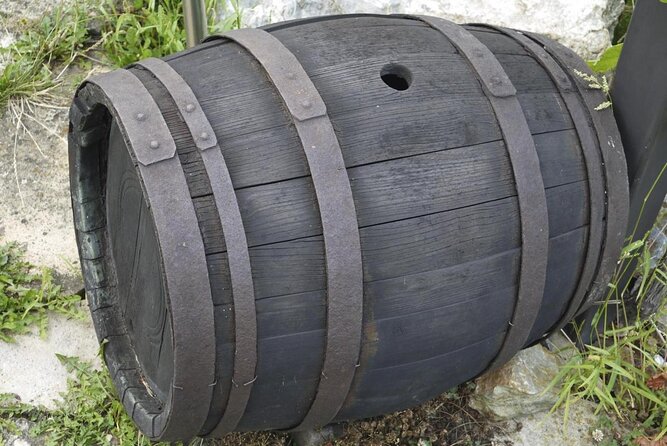 Live in the cider house, the tradition of the txotx. - Key Points