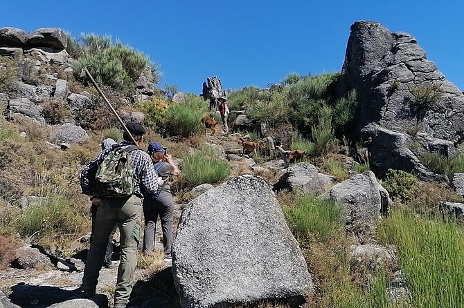 Live like a local - 3-Day Experience in Gerês Mountain with Local Food Tasting - Who Will Love This Tour?
