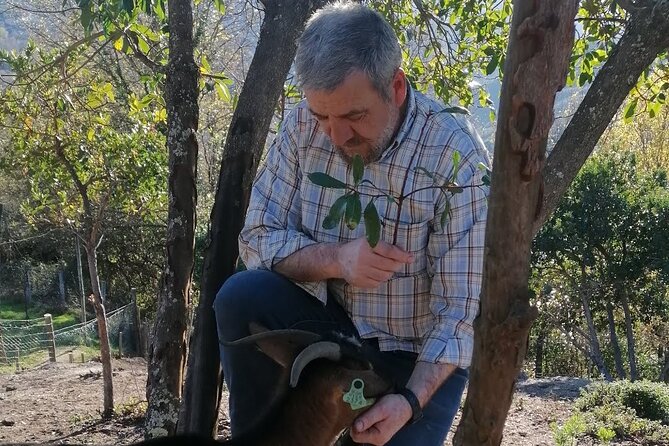 Live like a local - 3-Day Experience in Gerês Mountain with Local Food Tasting - FAQ