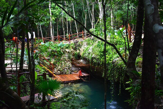 Live the adventure in 3 cenotes in the jungle! - What Travelers Say About This Tour