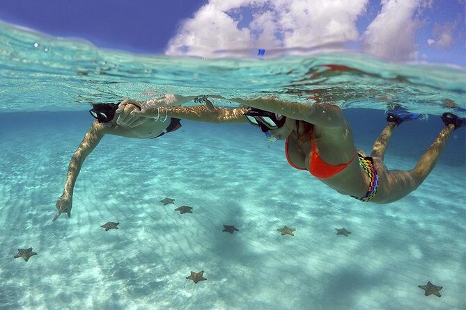 Live this unique snorkeling experience. El Cielo in Cozumel a magical tour. - The Itinerary: What You Can Expect from This Tour