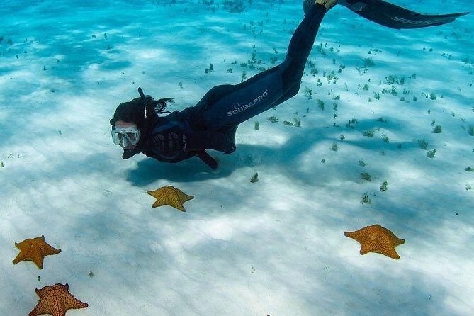Live this unique snorkeling experience. El Cielo in Cozumel a magical tour. - Beach Relaxation and Cozumel Town