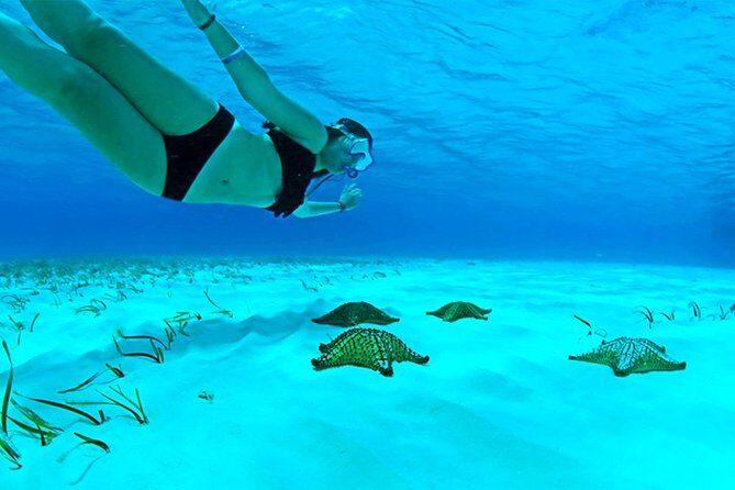 Live this unique snorkeling experience. El Cielo in Cozumel a magical tour. - Frequently Asked Questions