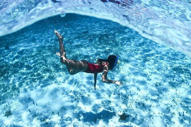 Live this unique snorkeling experience. El Cielo in Cozumel a magical tour. - Wrapping It Up