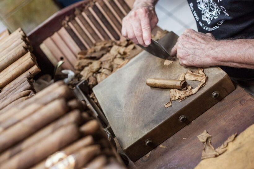 Lively Havana Food and Culture Private Walking Tour - Analyzing the Value