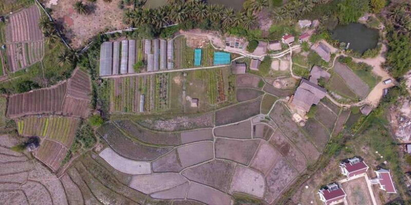 Living Land Farm Rice Experience - Final Verdict