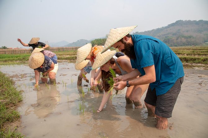 Living Land Rice Farming Experience - Transportation and Group Size