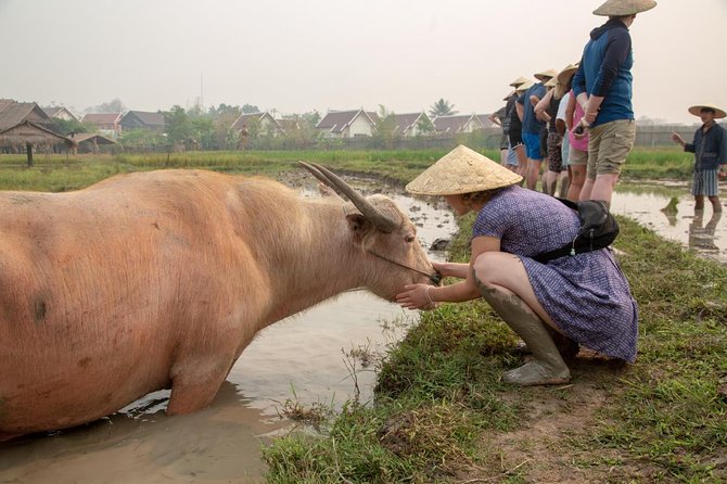 Living Land Rice Farming Experience - Final Thoughts
