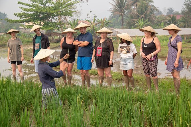 Living Land Rice Farming Experience - Who Should Consider This Tour?