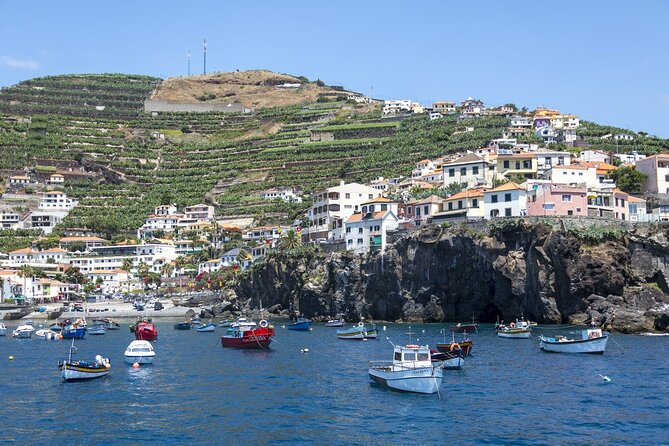 Living Sea Boat Trip in Madeira from Funchal - Potential Drawbacks or Considerations