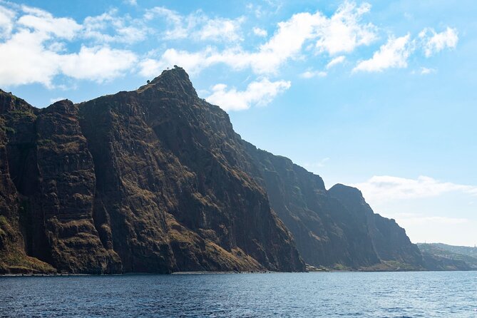 Living Sea Boat Trip in Madeira from Funchal - Final Thoughts