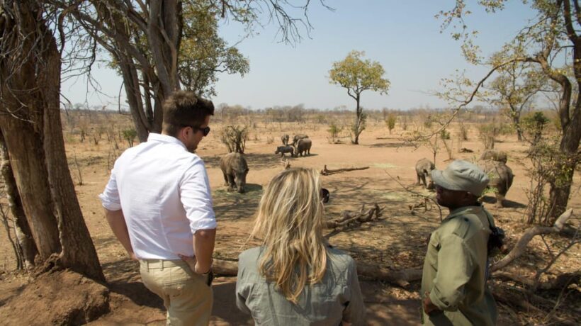 Livingstone: Game Drive and White Rhino Walking Safari - Final Thoughts
