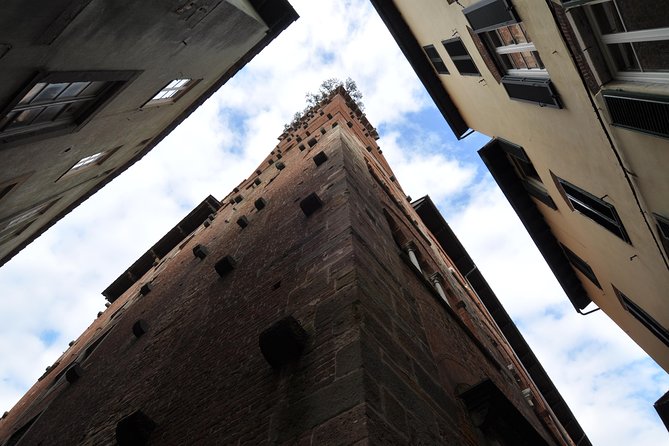 Livorno Private Shore Excursion of Pisa and Lucca - Who Will Love This Tour?