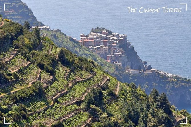 Livorno Private Shore Excursion to Portovenere and the Cinque Terre - Who Will Love This Tour?