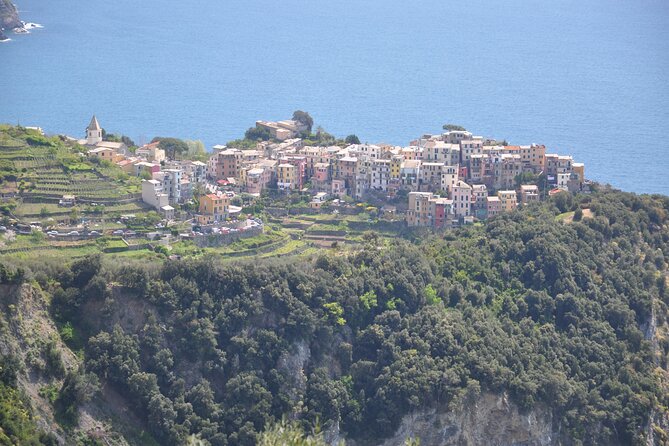 Livorno Private Shore Excursion to Portovenere and the Cinque Terre - The Sum Up