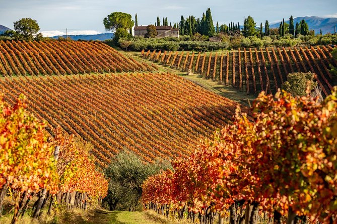 Livorno Shore Excursion: Chianti and Tuscany Countryside Private Wine Tour - Worry-Free Guarantee