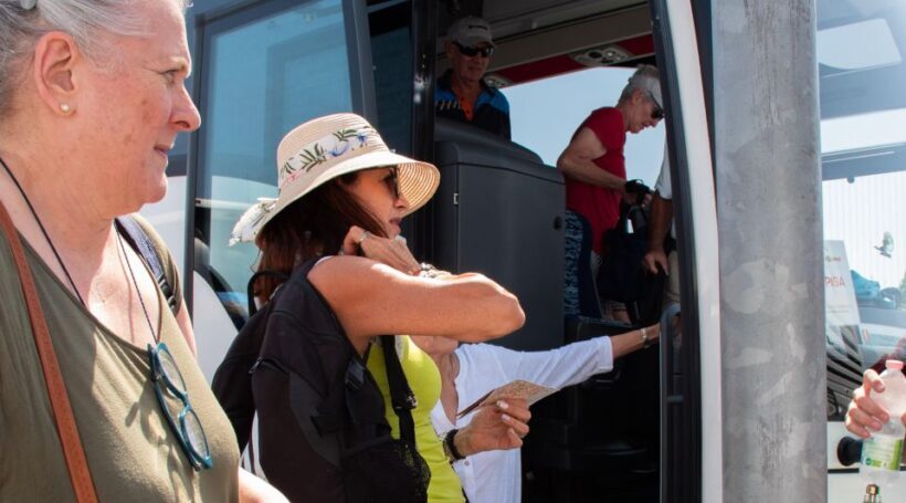 Livorno: Shore Excursion to Pisa and Livorno Bus Tour - Who Should Consider This Tour?