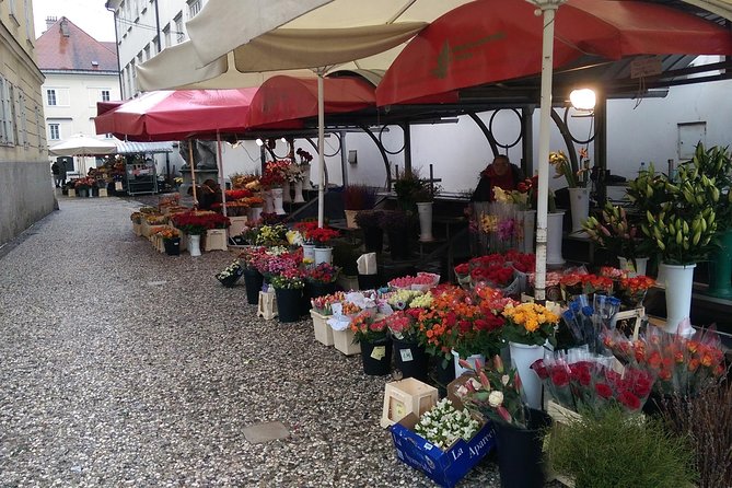 Ljubljana City Tour Including Ljubljana Castle - Traveler Experiences and Feedback