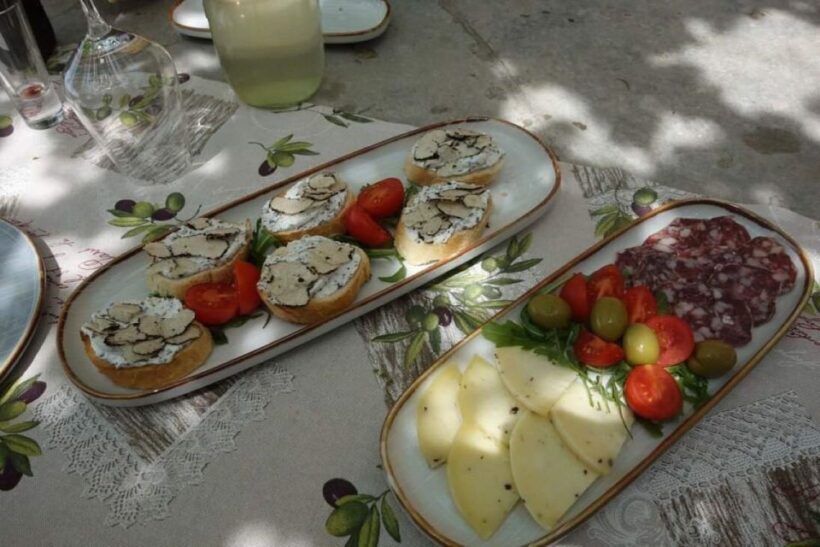 Ljubljana: Guided Truffle Hunting Tour with Hotel Transfers - The Itinerary in Detail