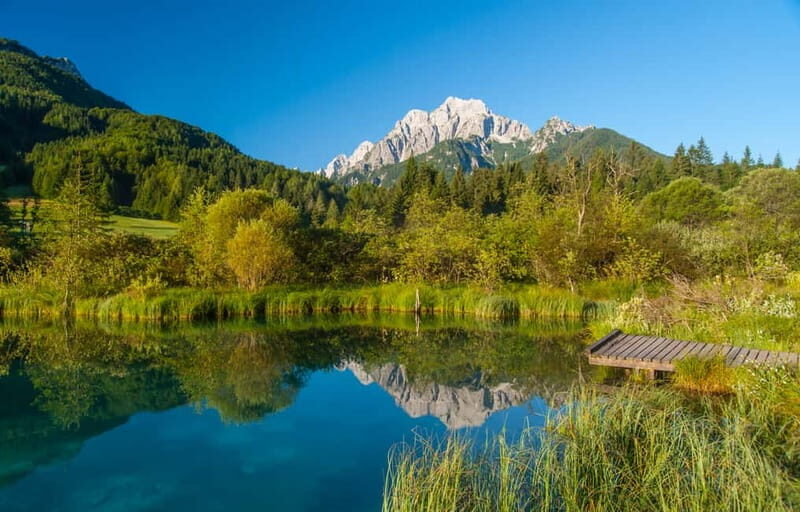 Ljubljana: Julian Alps and Triglav NP private tour - Discovering Lake Zelenci, a Natural Treasure