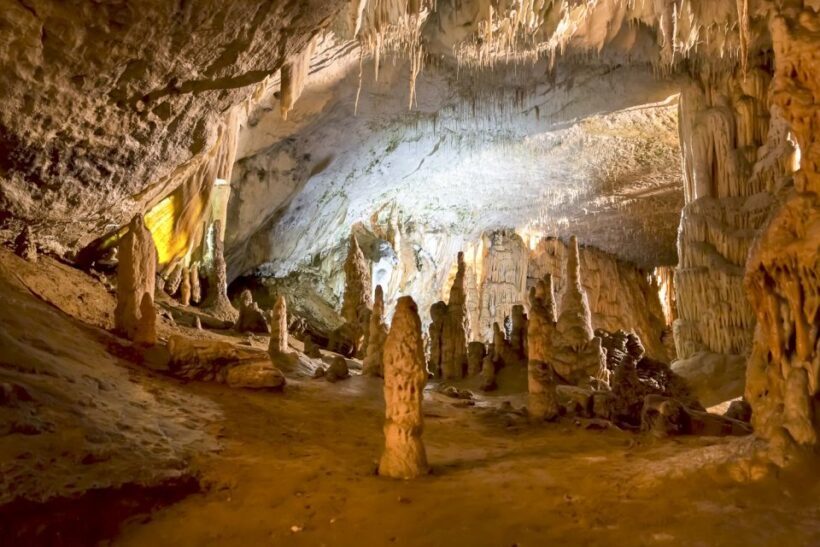 Ljubljana: Lake Bled & Postojna Cave Day Trip - An In-Depth Look at the Tour Experience