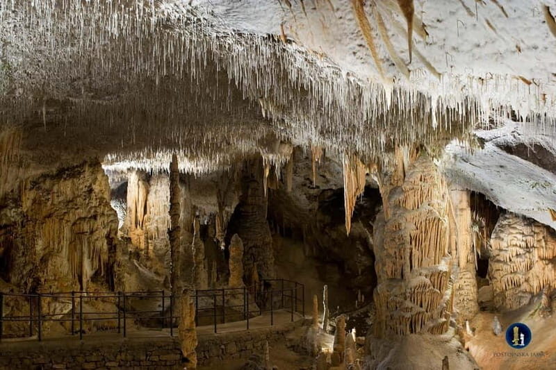 Ljubljana: Postojna Cave and Predjama Castle Tour - Exploring Slovenia’s Underground and Castle Marvels: Postojna Cave and Predjama Castle Tour