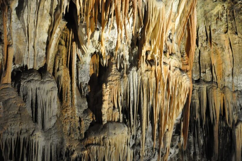 Ljubljana: Postojna Cave & Predjama Castle Tickets and Tour - In-Depth Look at What Travelers Can Expect