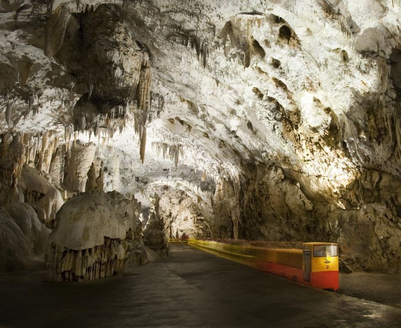 Ljubljana: Postojna Cave & Predjama Castle Tickets and Tour - Who Is This Tour Best Suited For?
