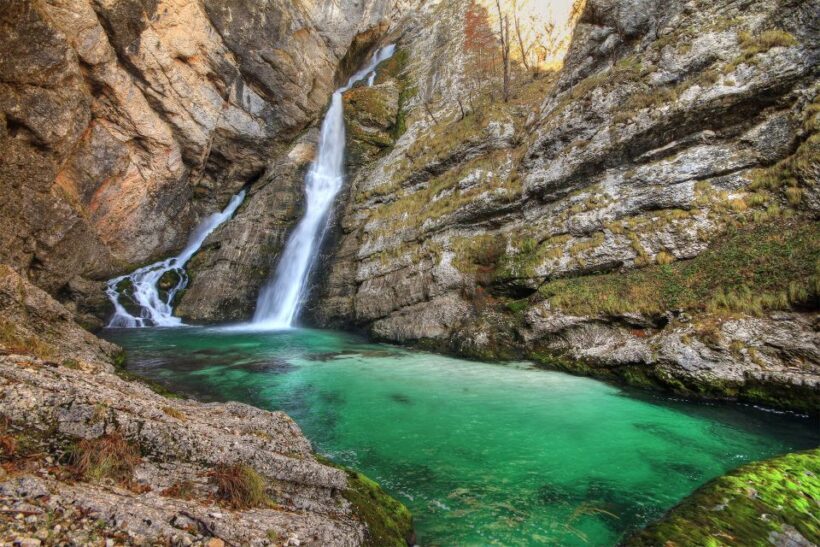 Ljubljana: Savica Waterfall, Lake Bohinj, and Lake Bled Tour - What Reviewers Love Most